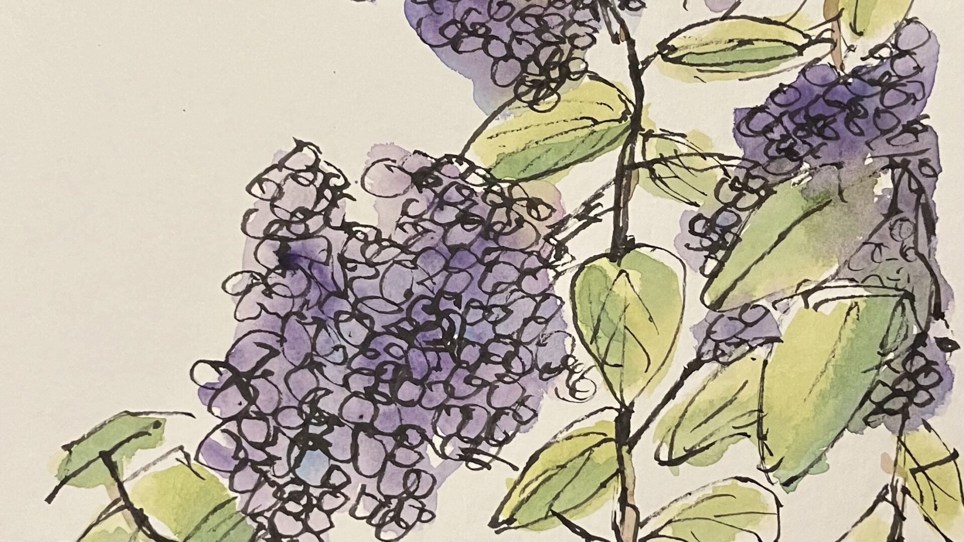 Spring Flowers – Quentin Dodd