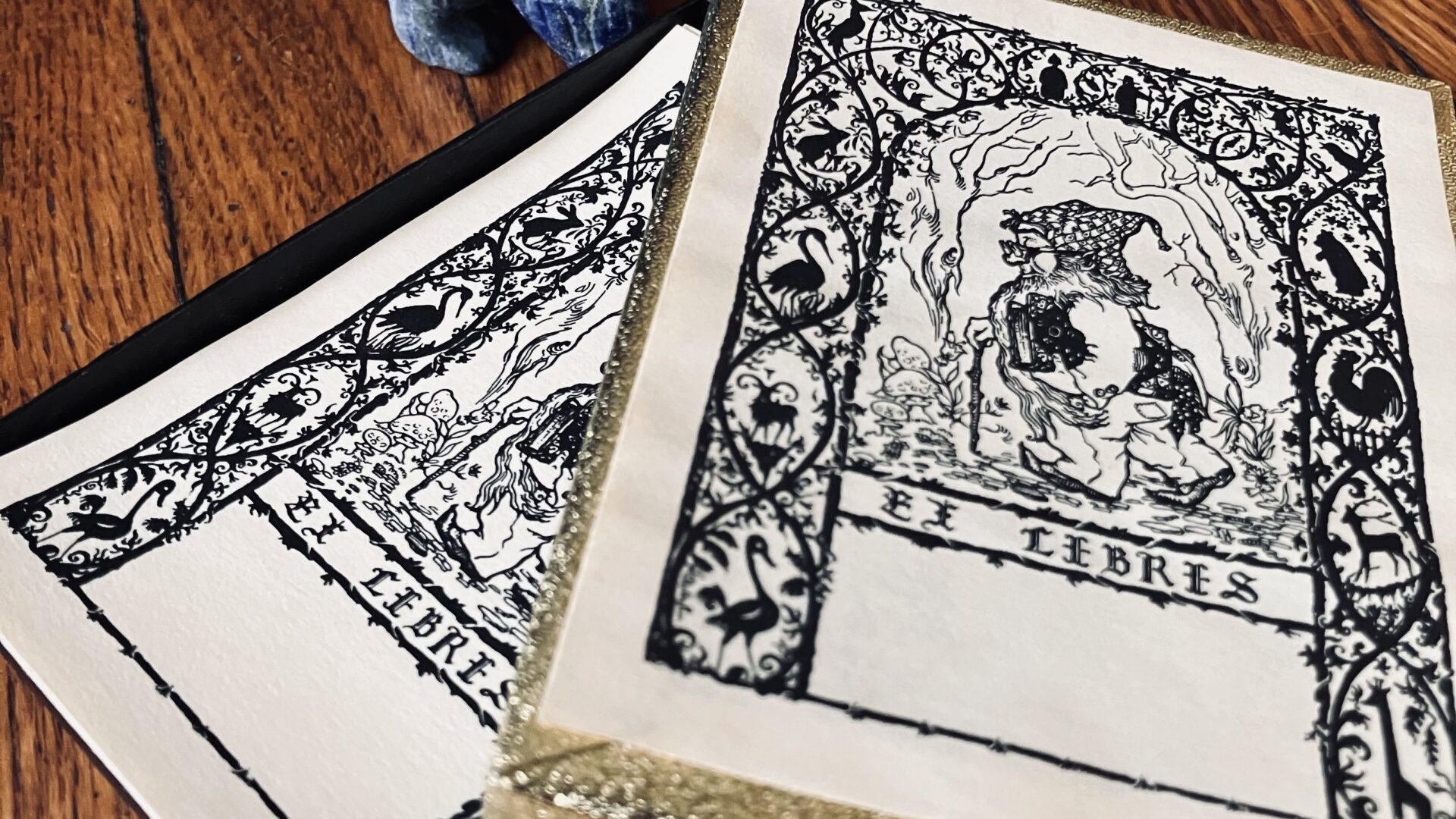 Spring Flowers – Quentin Dodd